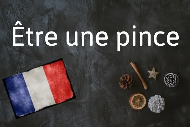 French expression of the day: Être une pince