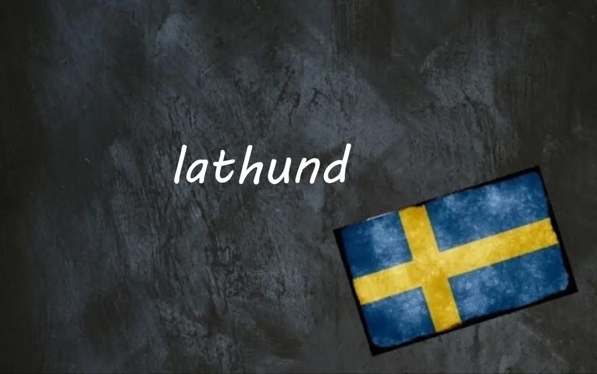 Swedish word of the day: lathund