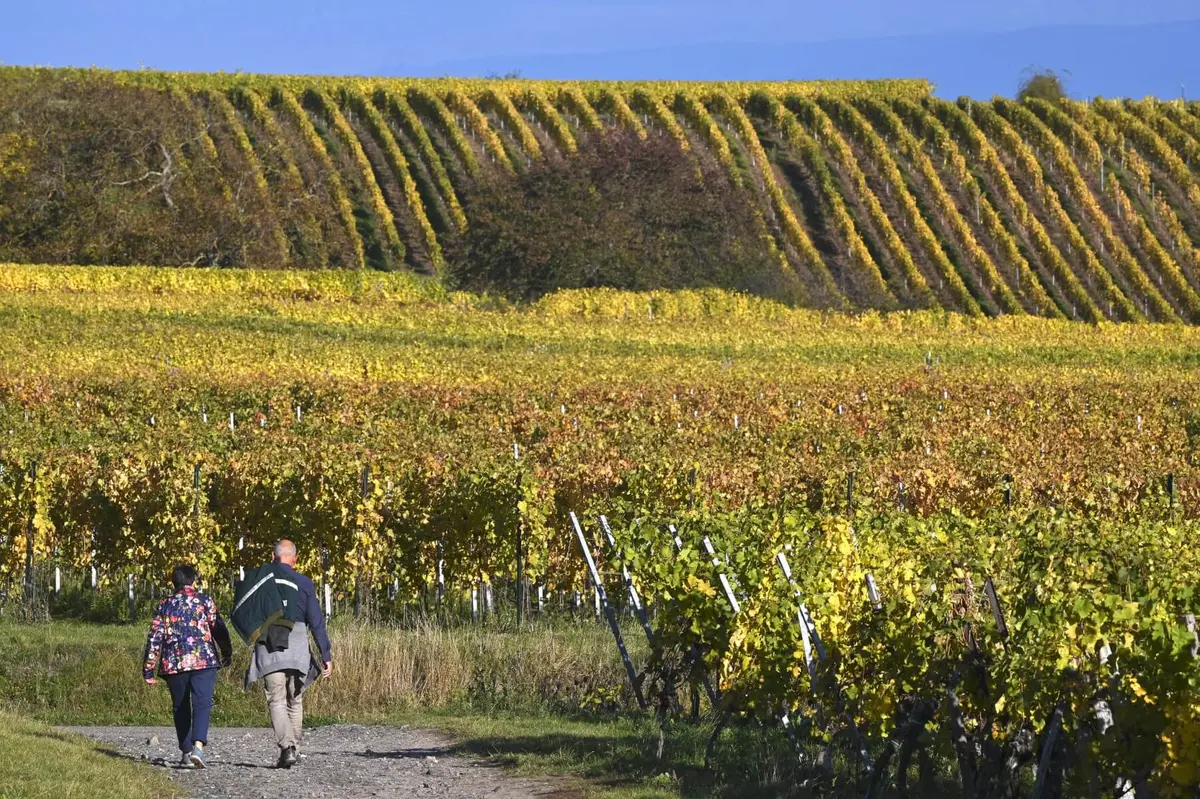 OPINION: Don't believe the complaints - life is good in rural France