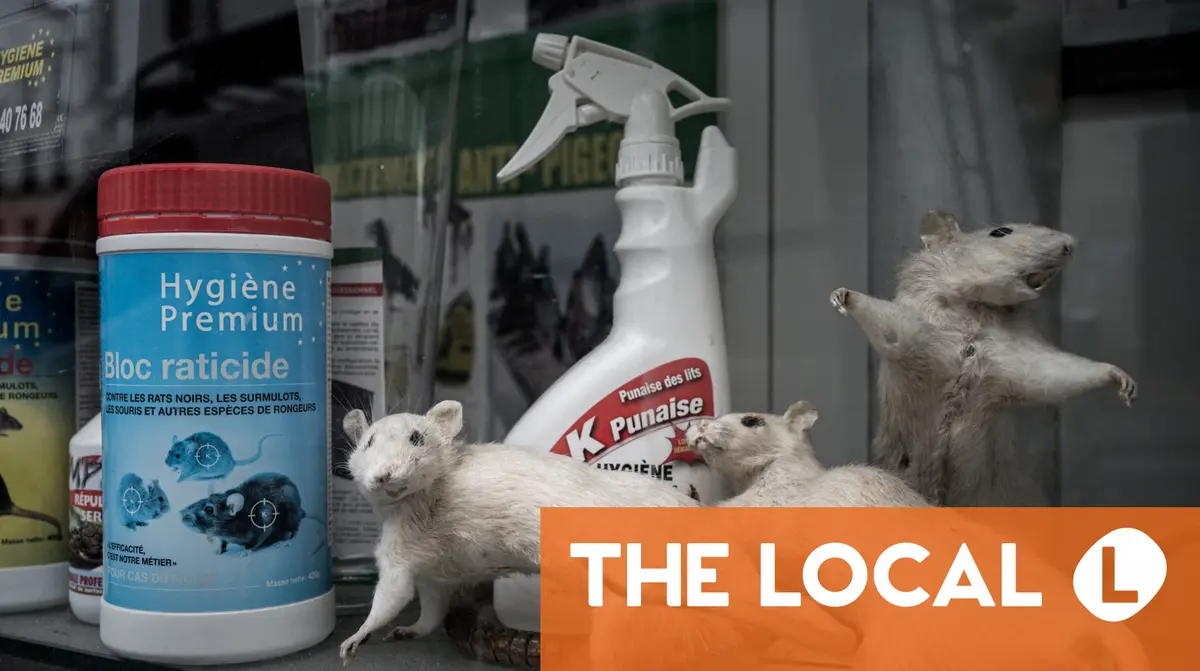 Inside France: Government squabbles, rats and tiny trains