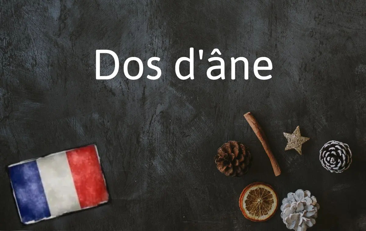 French Word of the Day: Dos d'âne