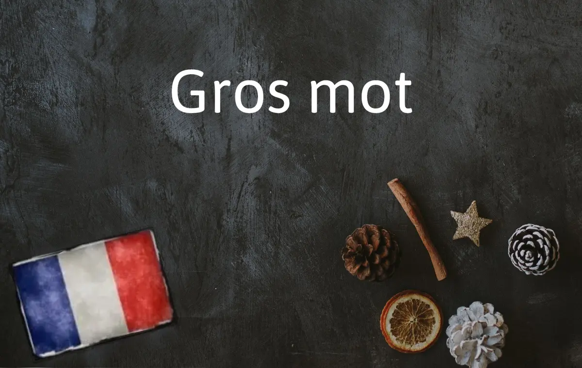 French Word of the Day: Gros mot